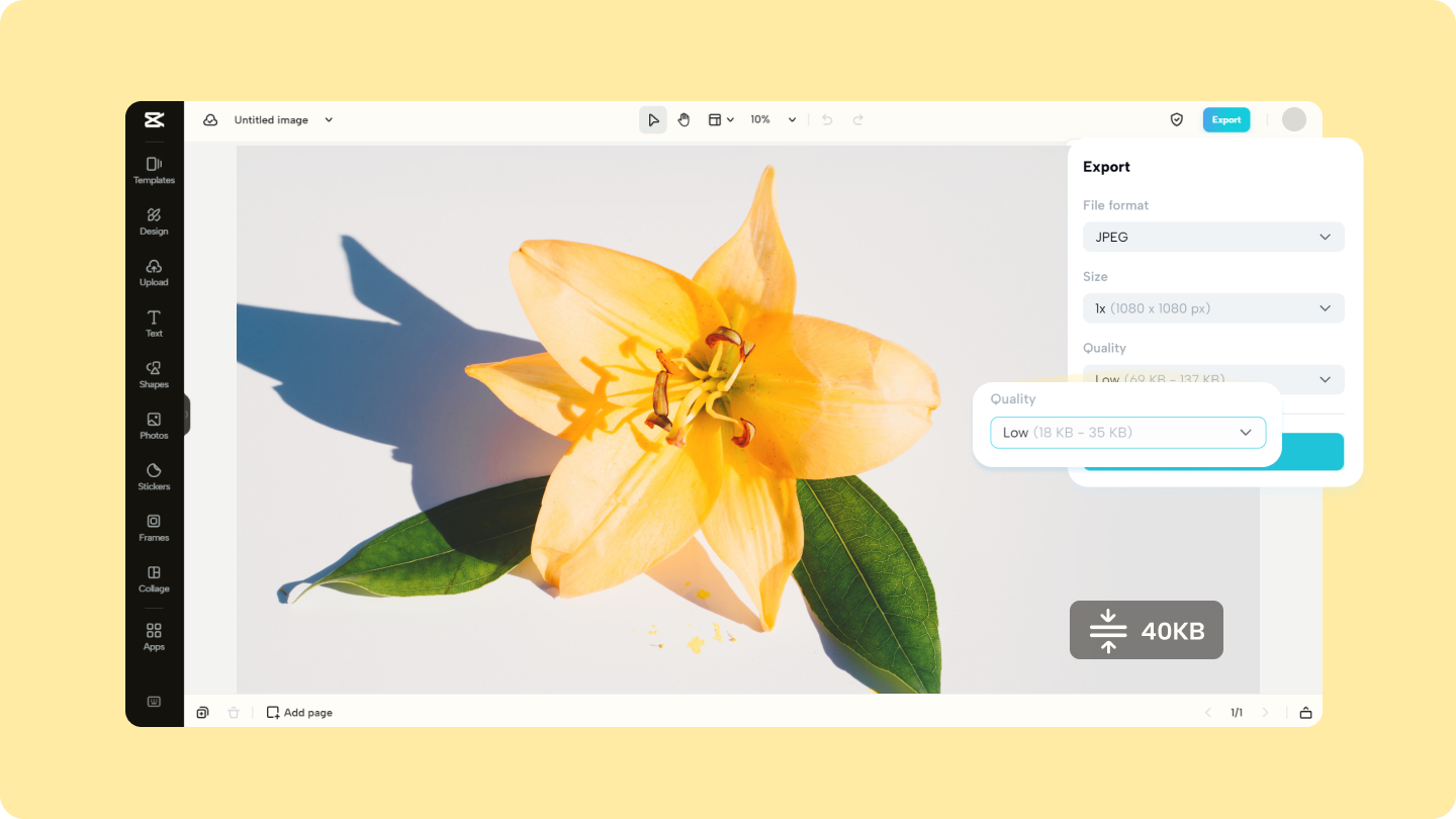 Software VS. Online - Compress JPG to 40KB Easily and for Free