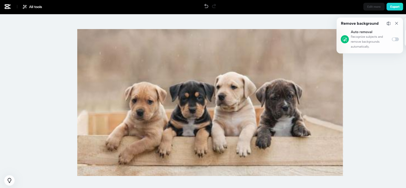 Elevate Your Creative Projects with Background Removal Tool