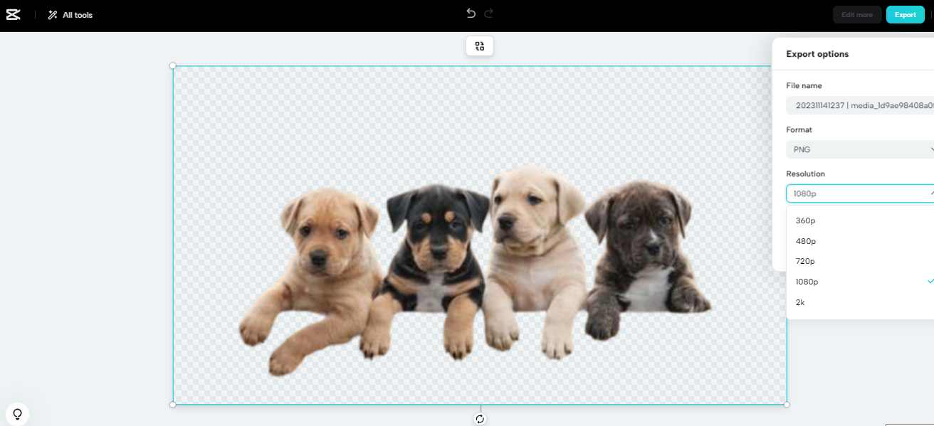 Elevate Your Creative Projects with Background Removal Tool