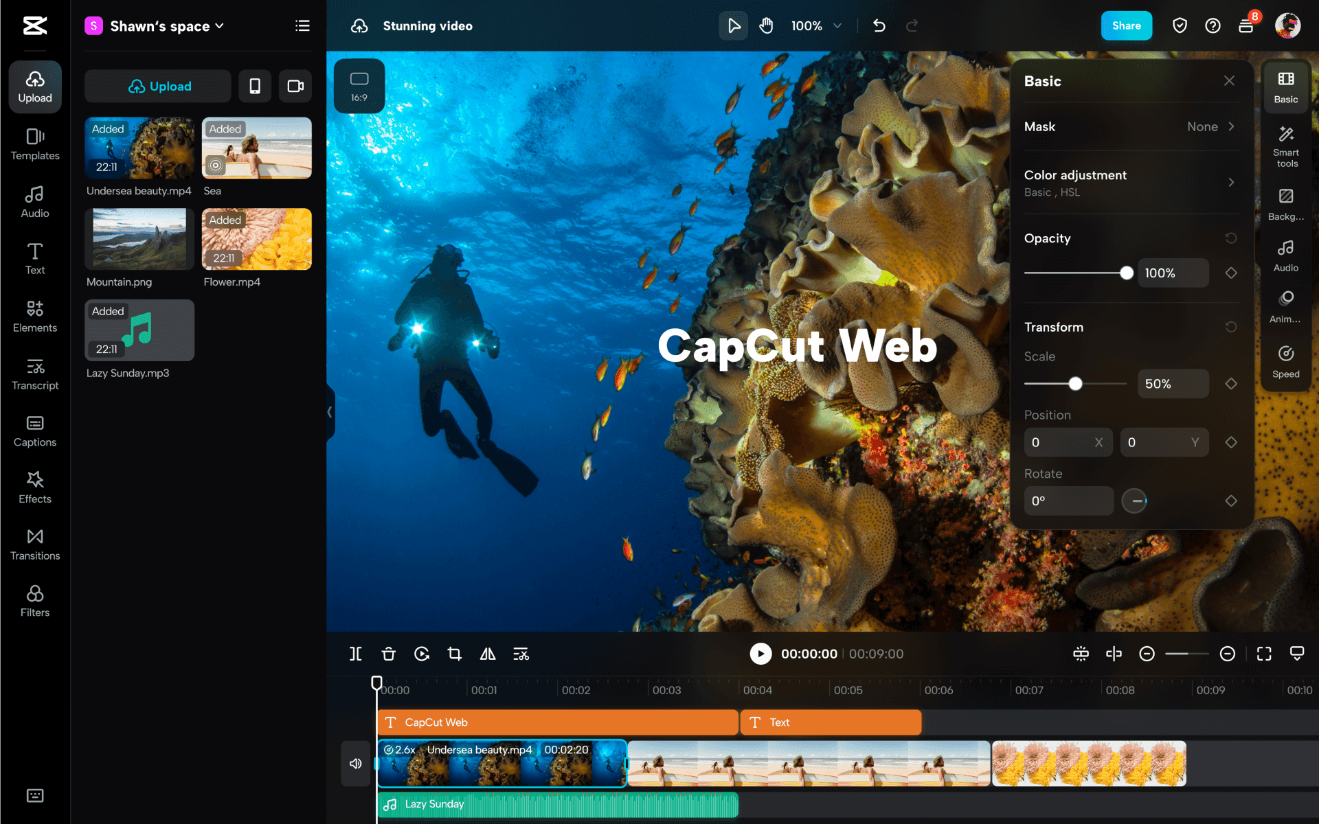 Adobe Creative Suite: Your Starter Pack for Creative Success