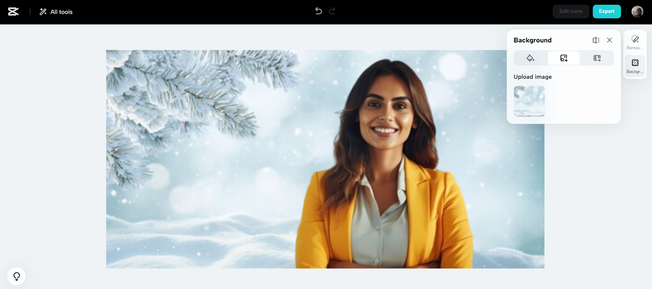 How to Customize a Professional Photo Background in Seconds?