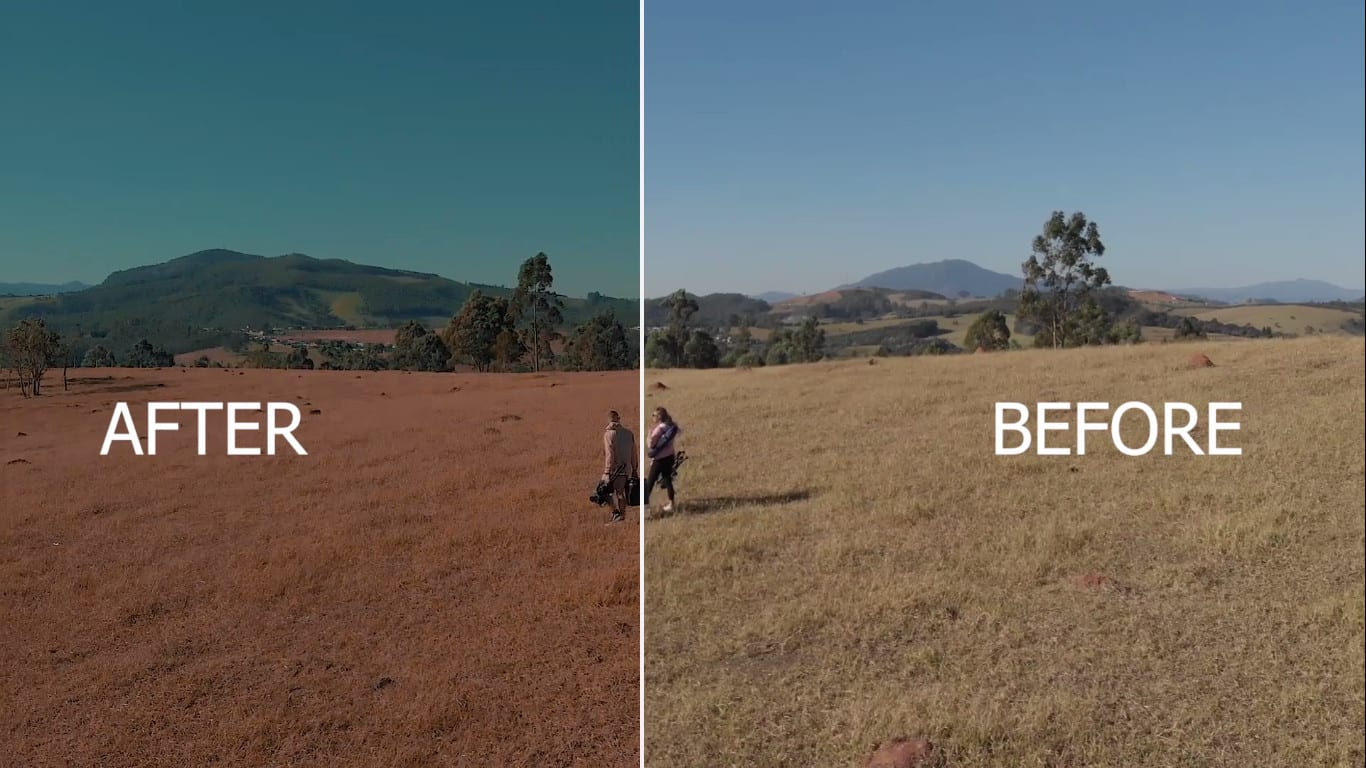 The Essential Role and Replace Image Color Significance