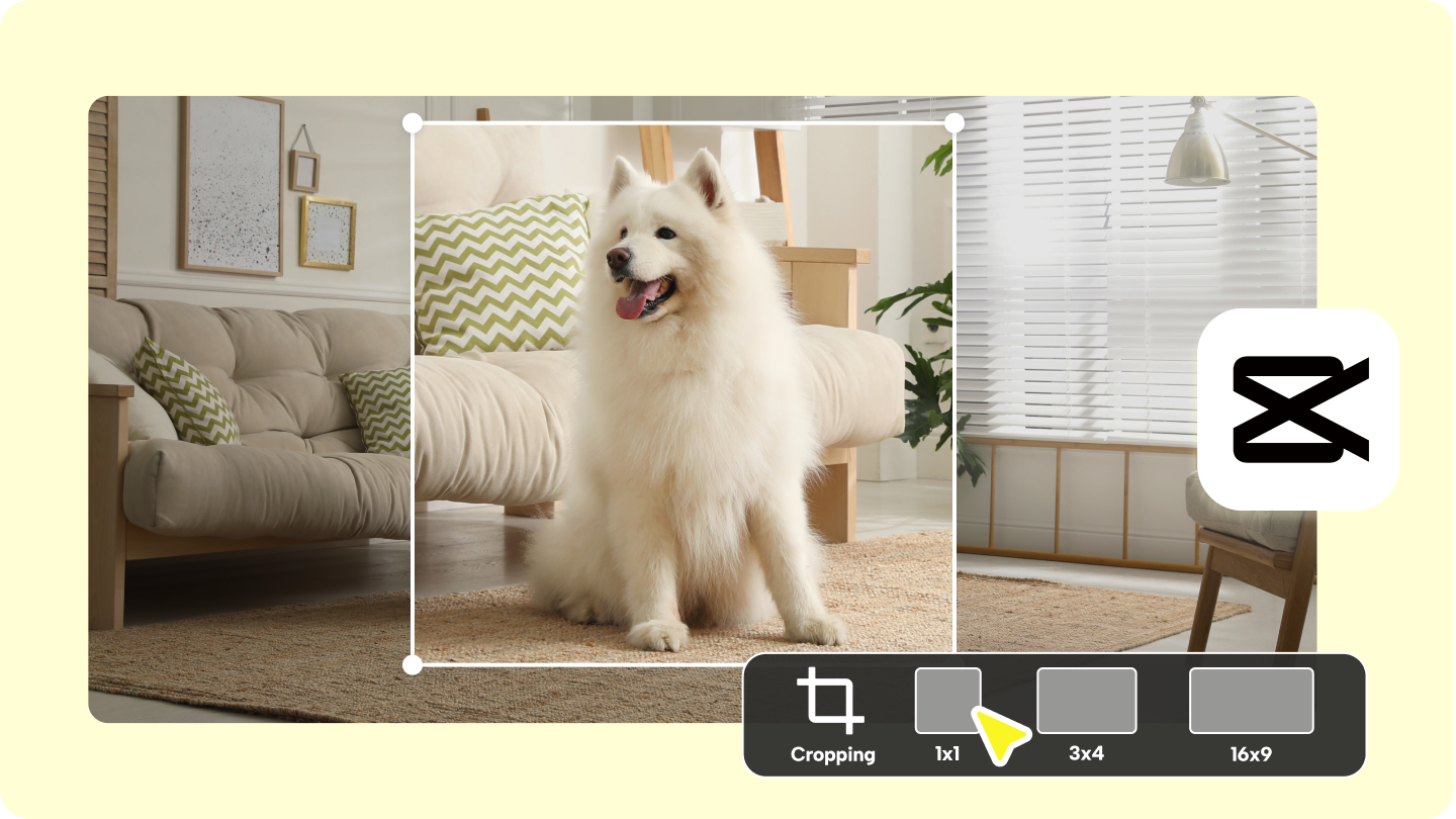 5 Best Picture Croppers to Perfect Your Image Size in 2024