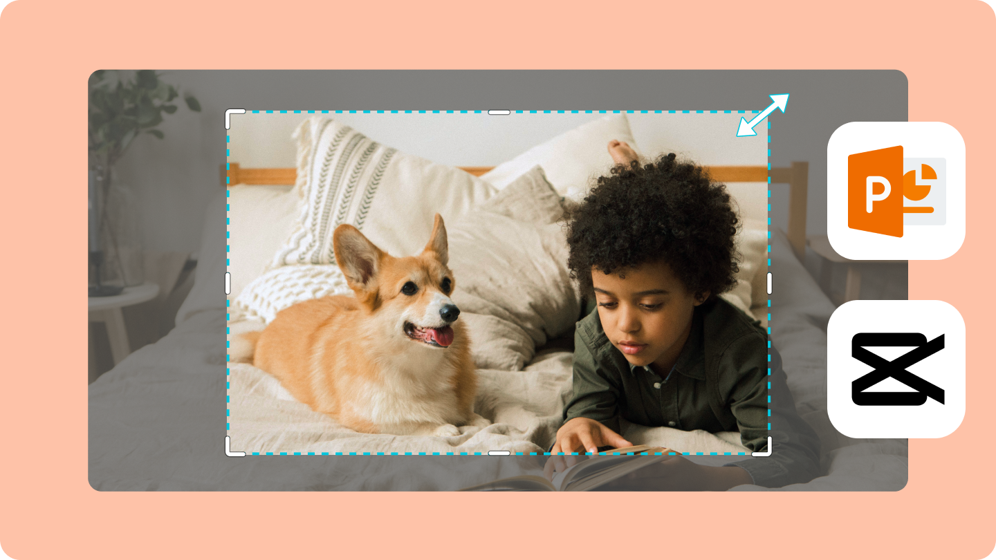 How To Crop An Image In PowerPoint And The Best Alternatives