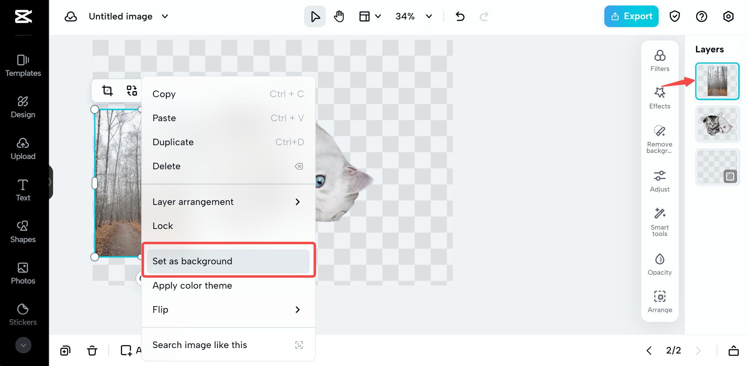 Enhance Your Creativity with 5 Powerful Remove Background Changers
