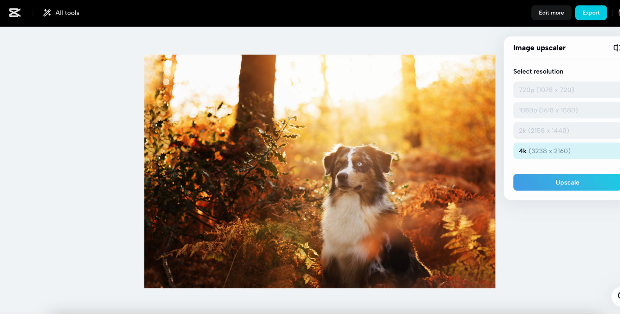 Transform Photos with Magical Photo Improver