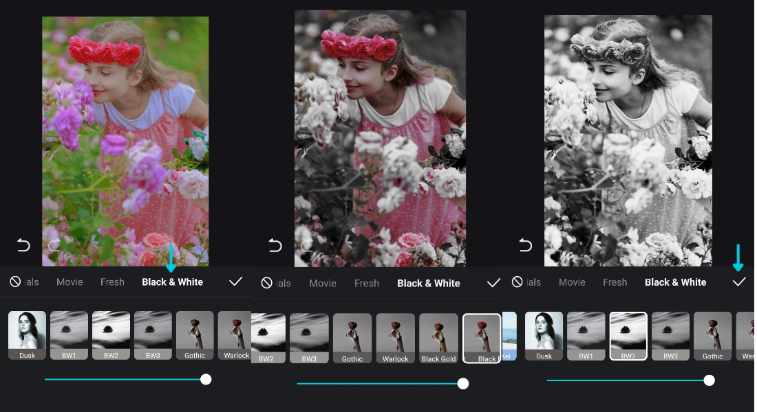 Filter Finesse: Transform Your Photos with CapCut Picture Filter App