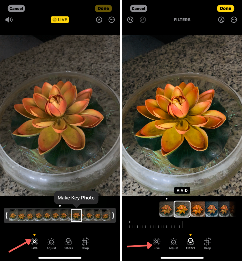 How to Edit Photos on iPhone | Basic and Advanced Methods