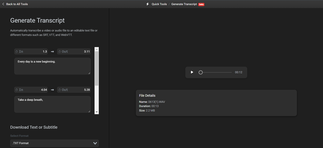 Convert WAV to Text | Free and Fast Audio Transcription