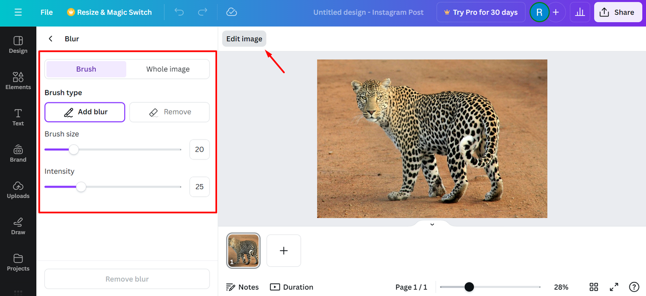 5 Metode Komprehensif untuk Gambar Blur Online Gratis