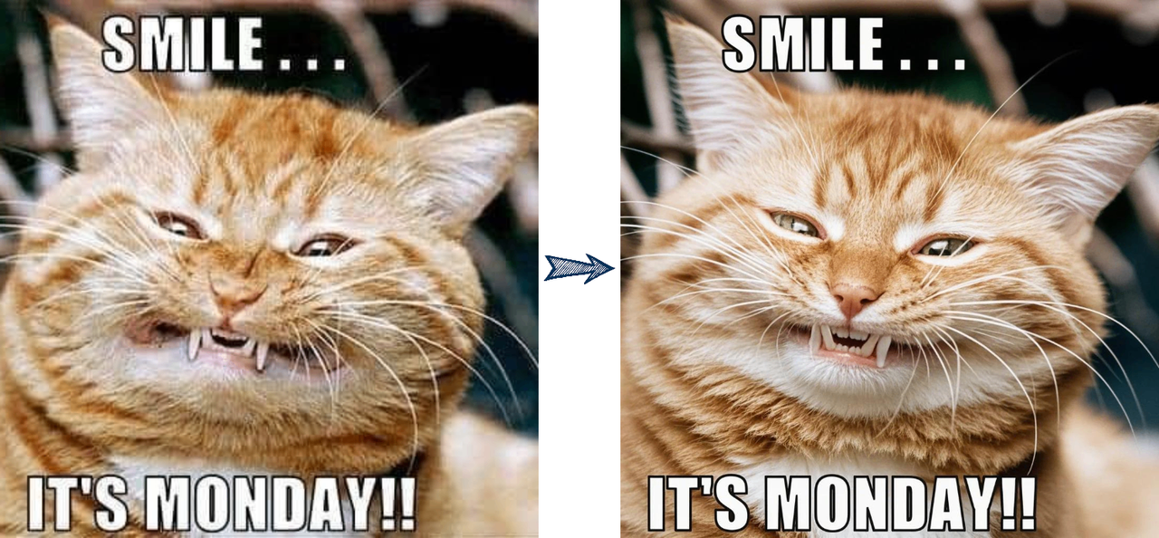 How Do You Create A Meme Using Dreamina's AI Meme Image Generator