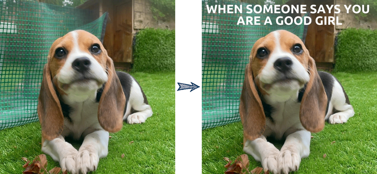 How Do You Create A Meme Using Dreamina's AI Meme Image Generator